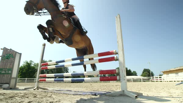 SLOW MOTION, CLOSE UP, LOW ANGLE: Horsegirl riding strong brown horse ...