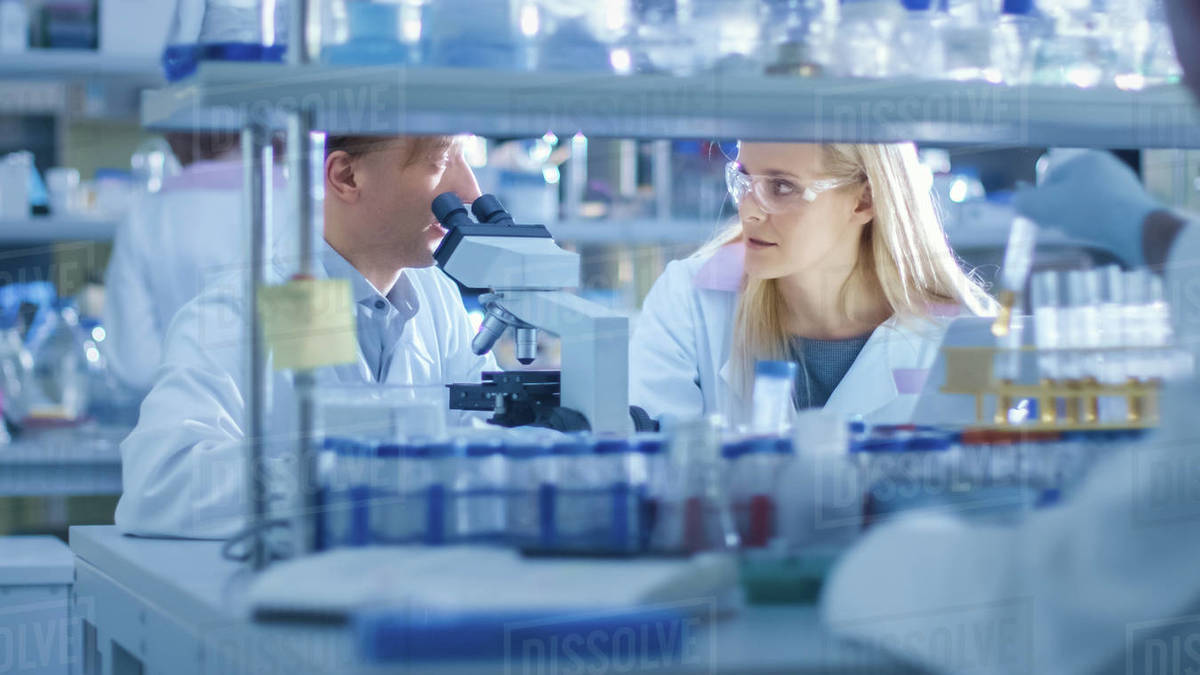 Team of a Male and Female Research Scientist working with a Microscope ...