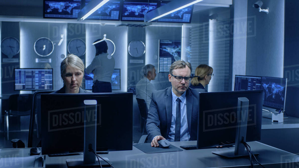 Diverse Team of Corporate Technical Specialists Work on Computers on ...