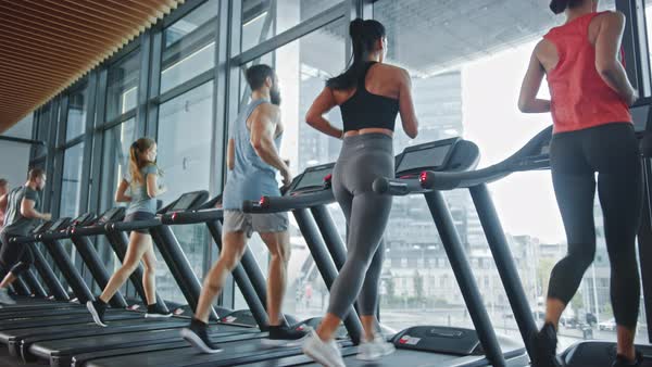 Group of Five Athletic People Running on Treadmills, Doing Fitness ...