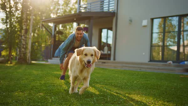 Handsome Man Plays Catch flying disc with Happy Golden Retriever Dog on ...