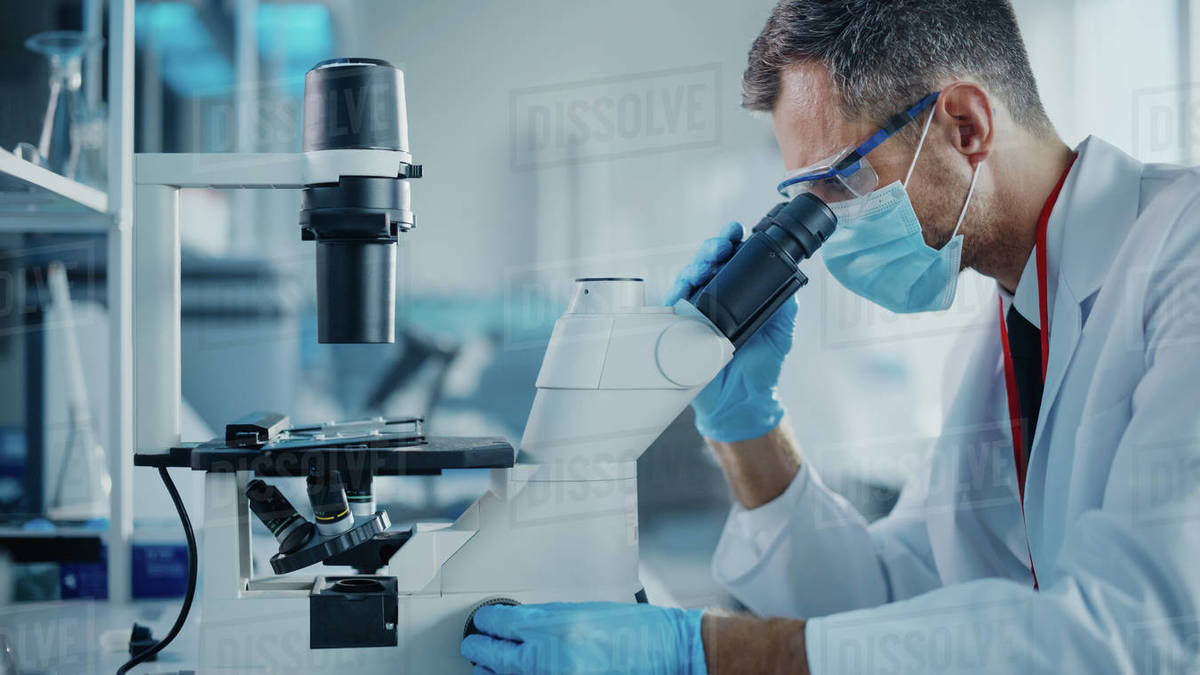 Scientist Wearing Face Mask Looking Under Microscope on Petri Dish ...
