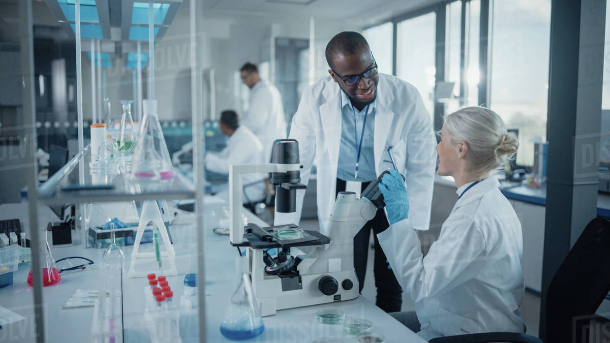 Modern Medical Research Laboratory: Two Scientists Working Together Using Microscope, Analysing ...