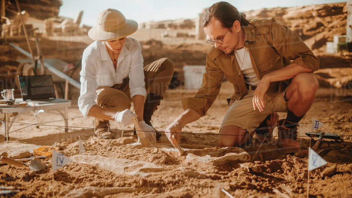 Two Paleontologists Cleaning Newly Discovered of Dinosaur - Stock Photo ...