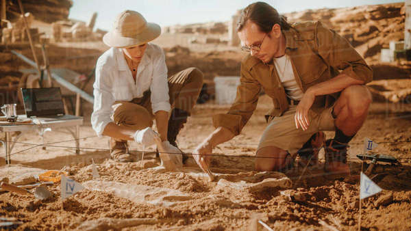 Two Paleontologists Cleaning Newly Discovered of Dinosaur - Royalty ...