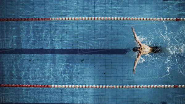 Aerial Top View Male Swimmer Swimming in Swimming Pool. Professional ...