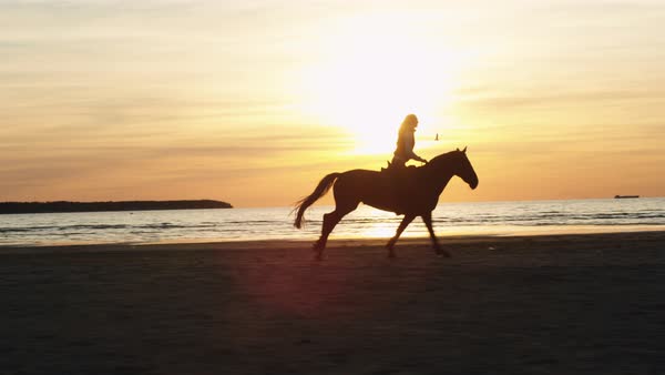 Silhouette of woman riding horse along beach shoreline - Stock Video ...