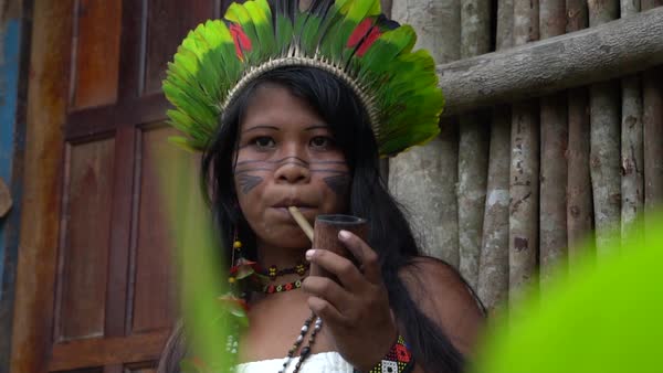 Indigenous Woman Smoking Pipes in a Tupi Guarani Tribe, Brazil - Stock ...
