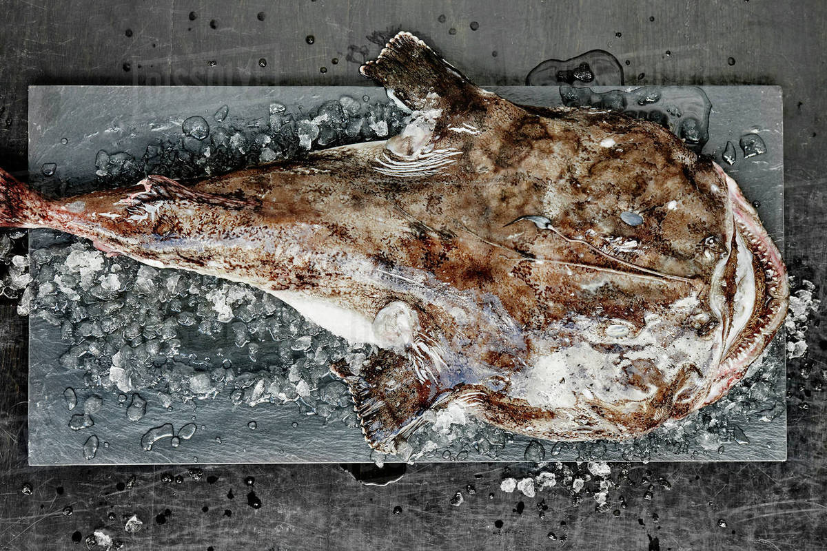 Fish on slate board - Stock Photo - Dissolve