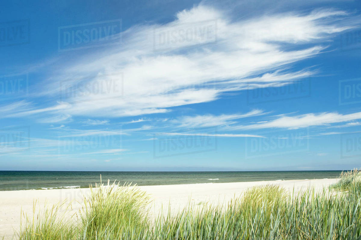 Sandy beach - Royalty-free Stock Photo | Dissolve