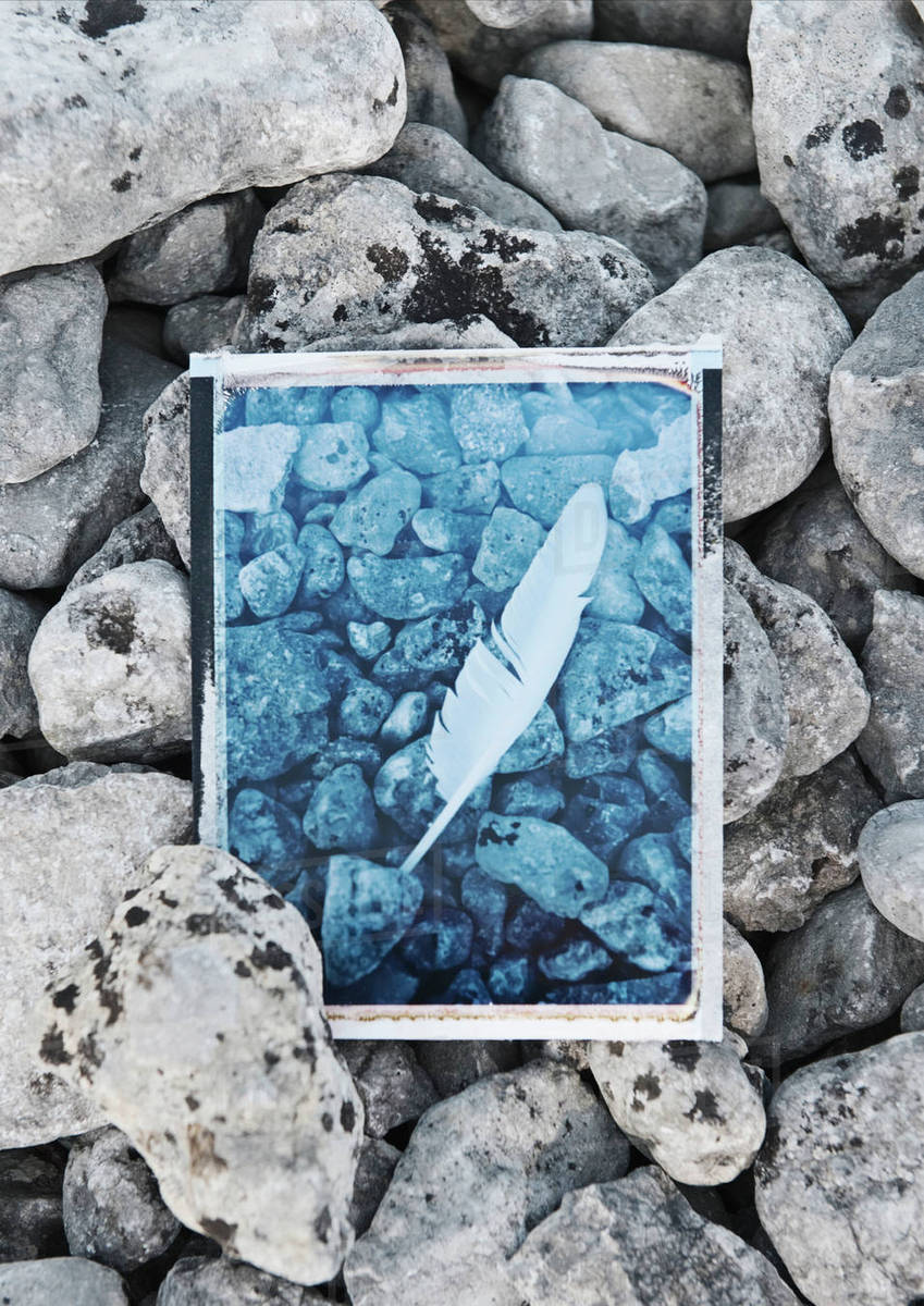 Glass on feather among pebbles - Royalty-free Stock Photo | Dissolve