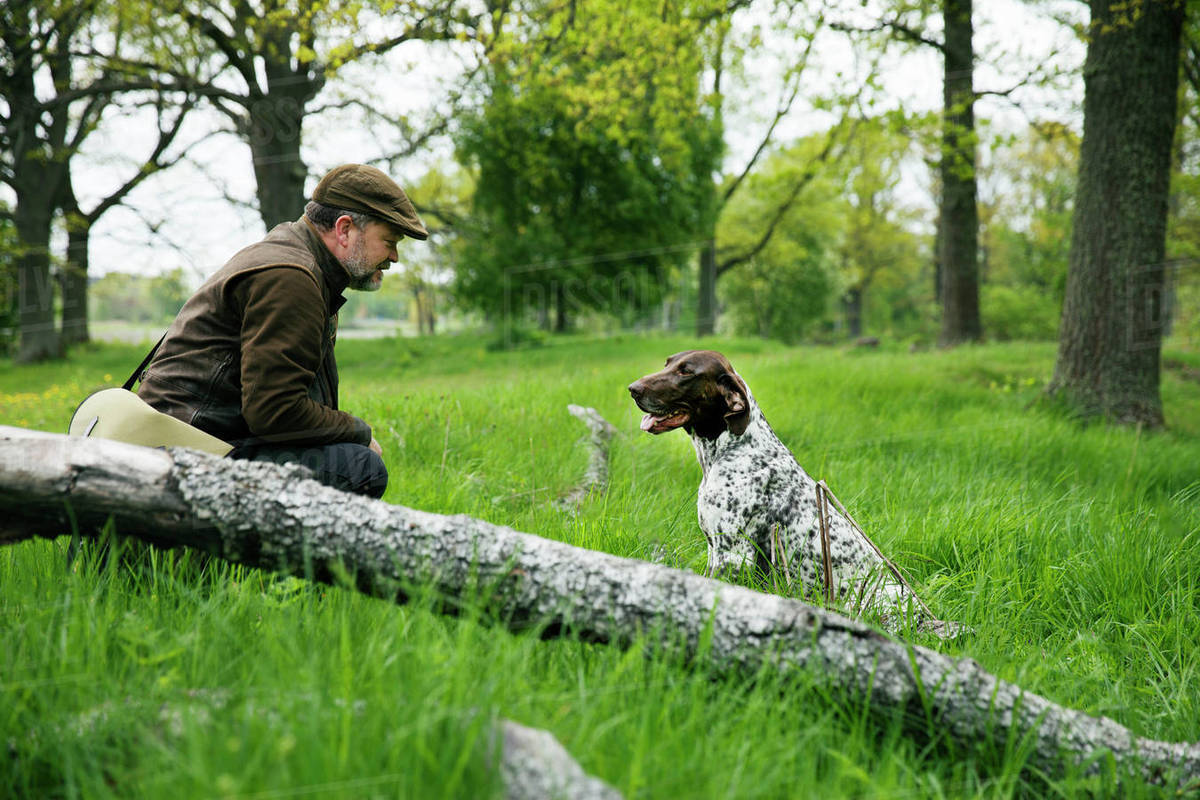 Hunter with hunting dog - Royalty-free Stock Photo | Dissolve