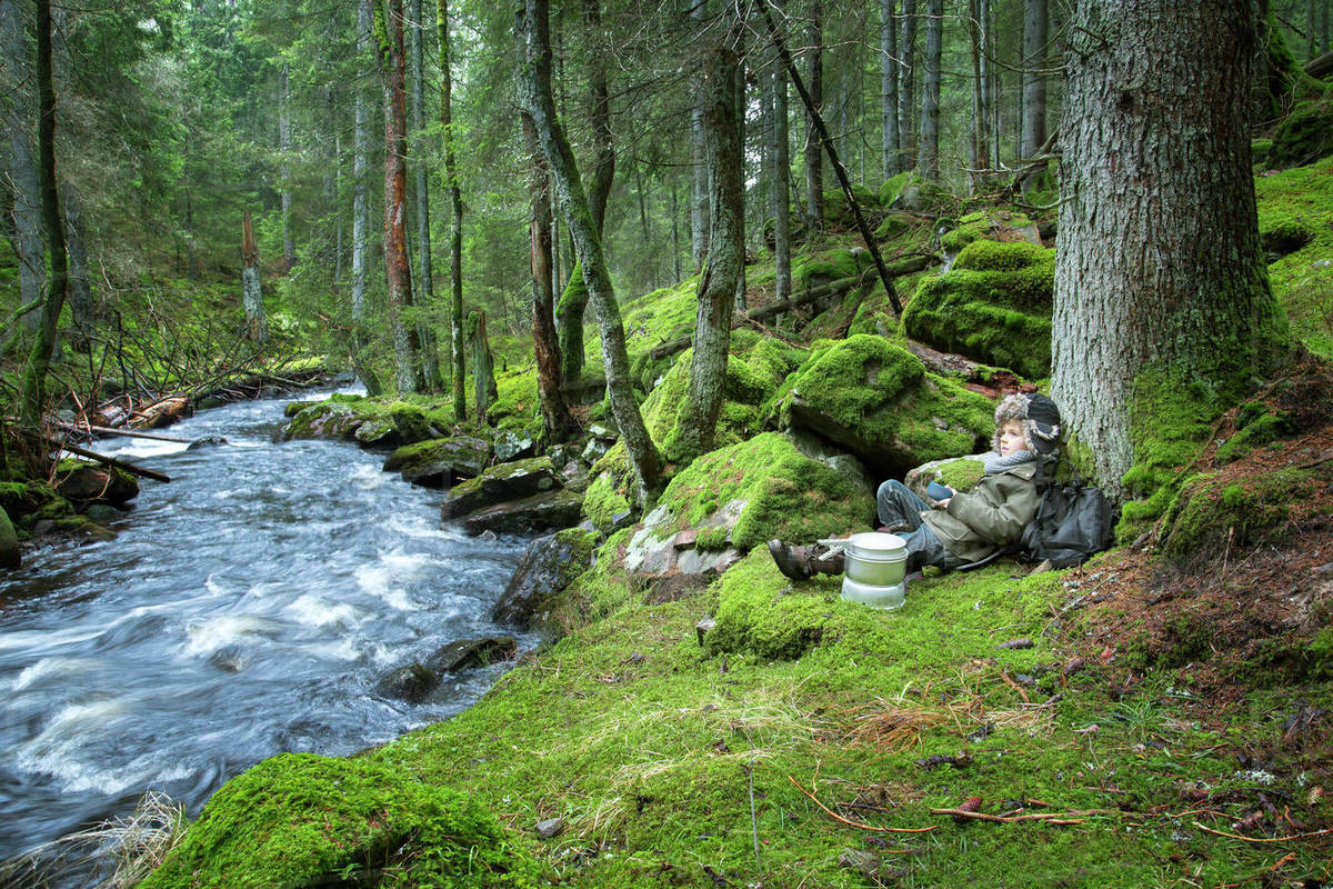 Boy resting in forest - Stock Photo - Dissolve