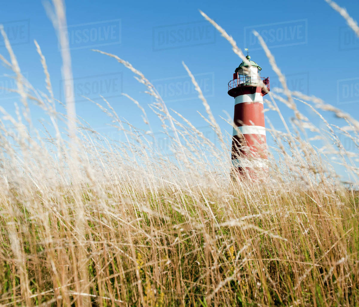 Lighthouse, grass on foreground - Royalty-free Stock Photo | Dissolve