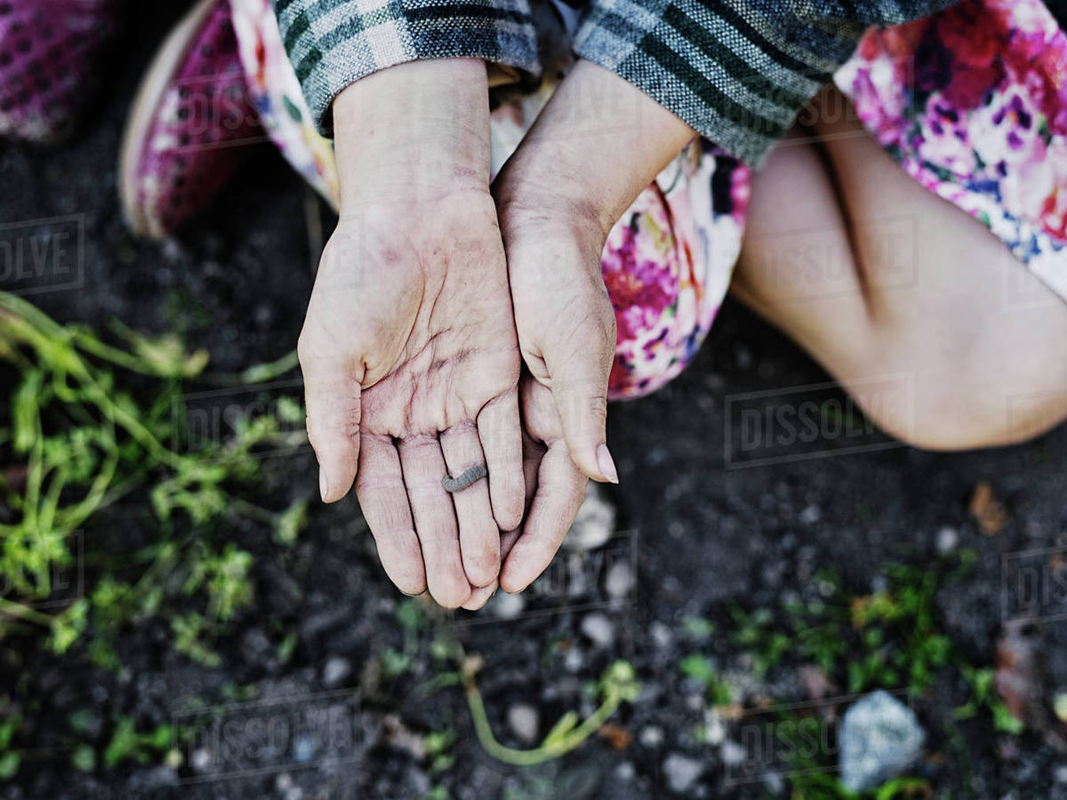 Worm on girls hands - Royalty-free Stock Photo | Dissolve