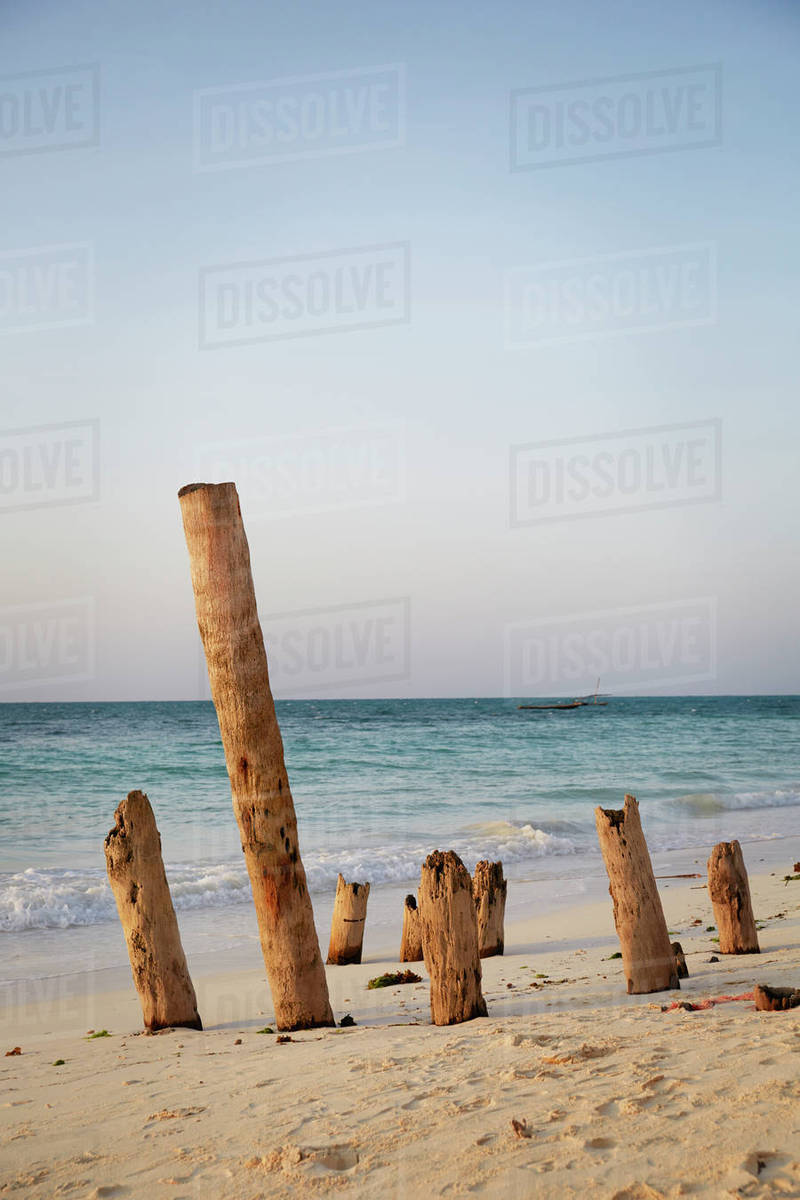 Wooden poles on beach - Stock Photo - Dissolve
