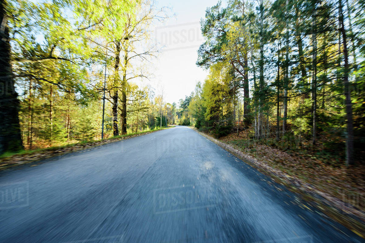 Road going through forest - Royalty-free Stock Photo | Dissolve