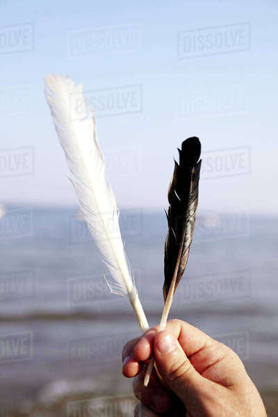 Hand holding feathers - Royalty-free Stock Photo | Dissolve