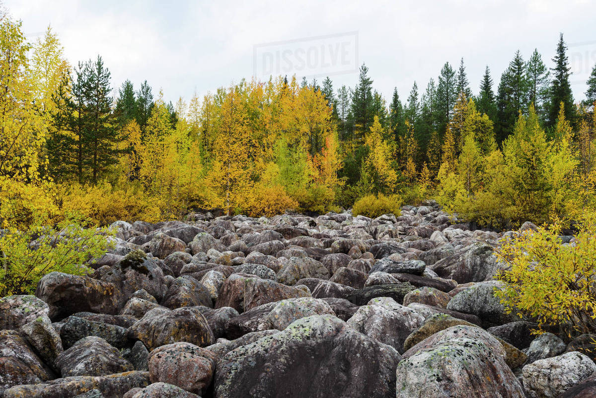 Rocks and autumn forest - Stock Photo - Dissolve