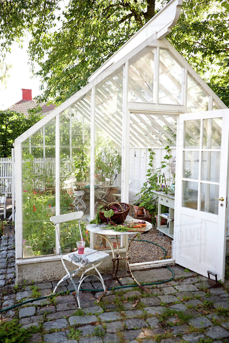 Open greenhouse - Royalty-free Stock Photo | Dissolve