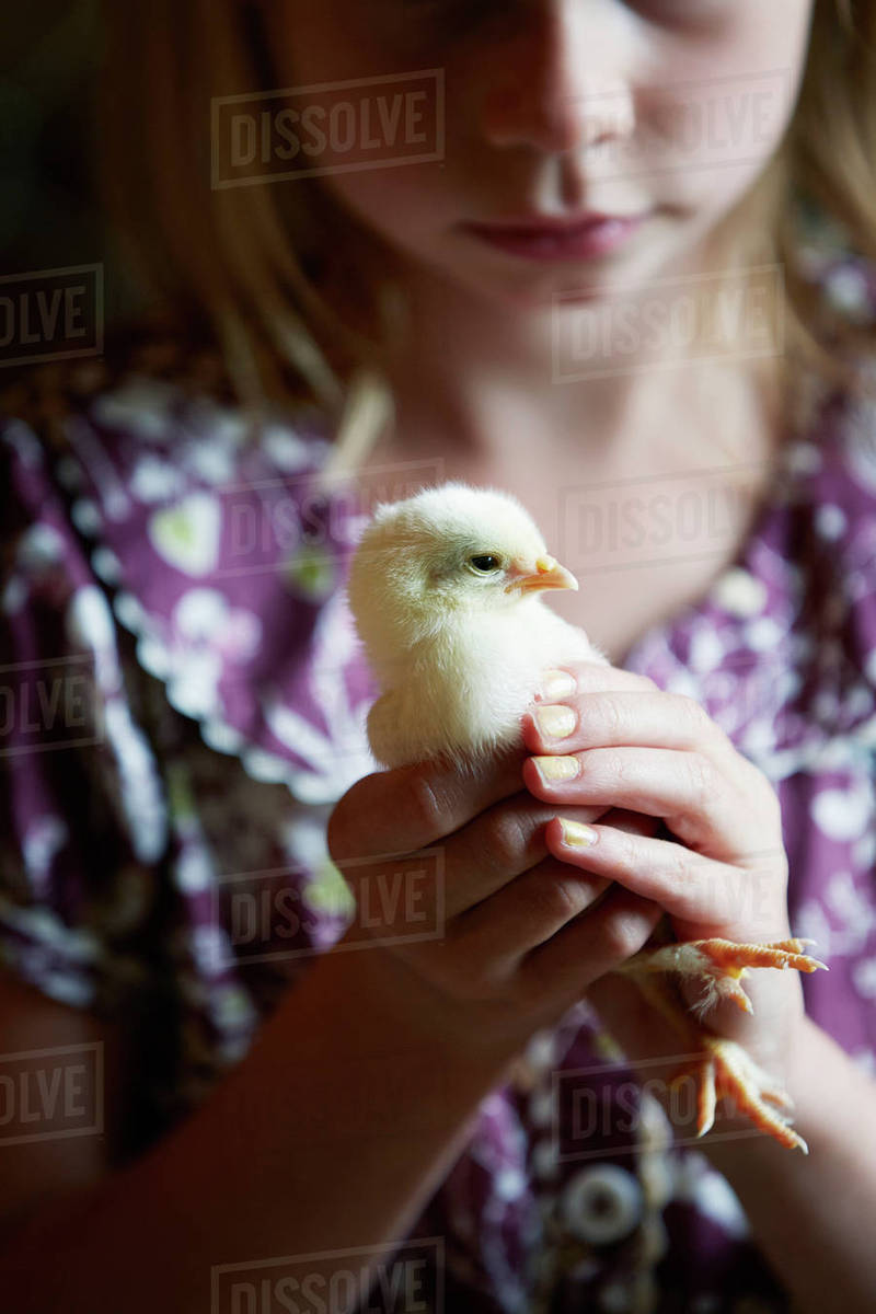 Girl with chicken - Royalty-free Stock Photo | Dissolve