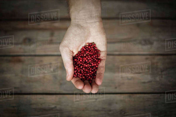 Red peppercorns in mans hand, close-up - Royalty-free Stock Photo ...