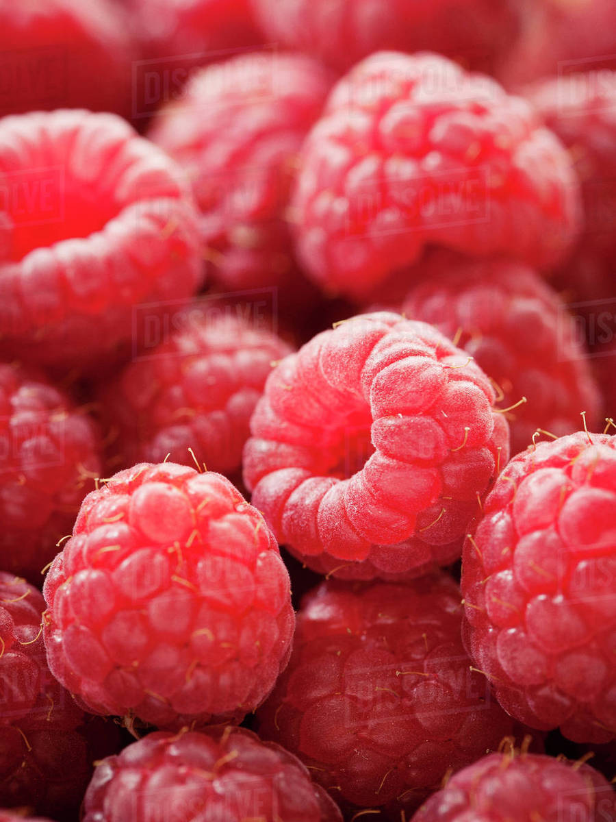 Close-up of raspberries - Royalty-free Stock Photo | Dissolve