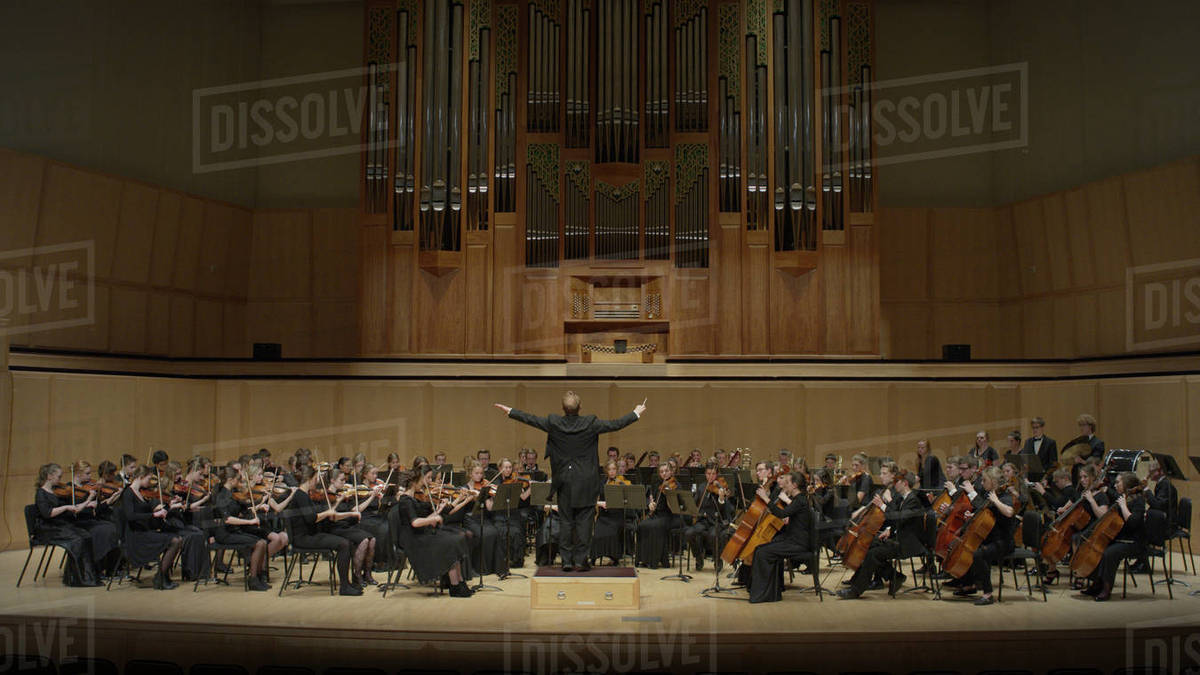 Rear view of conductor gesturing and leading music orchestra in ...