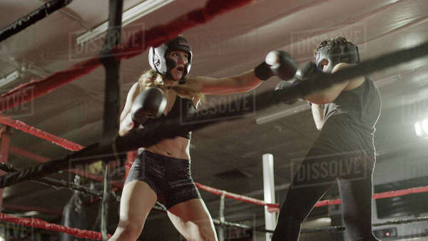 Low angle view of female boxers punching and fighting in boxing ring ...