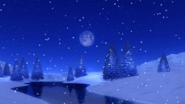 Peaceful winter scene with snow covered fir tree forest at magical ...