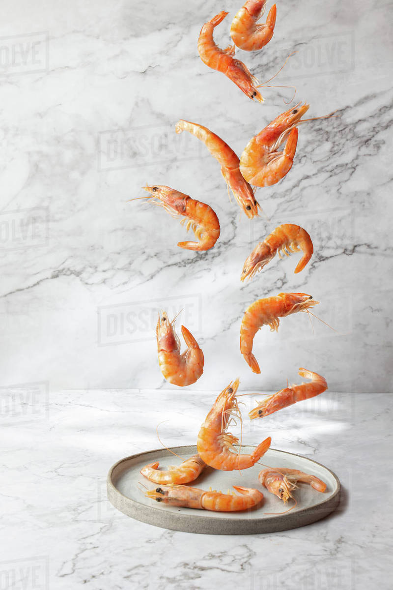 Flying food. Seafood shrimps prawns fly over gray plate, Marbled ...