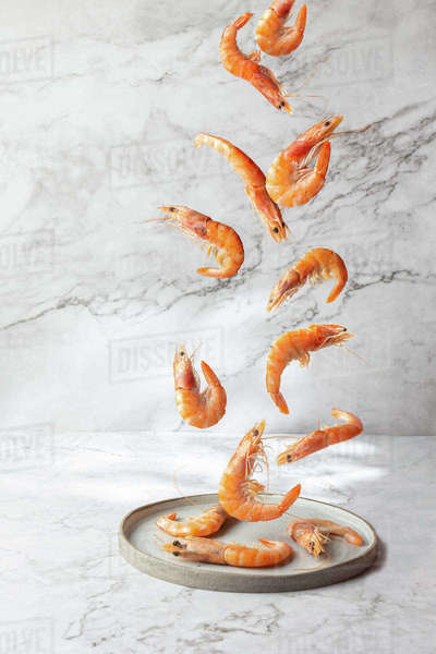 Flying food. Seafood shrimps prawns fly over gray plate, Marbled ...