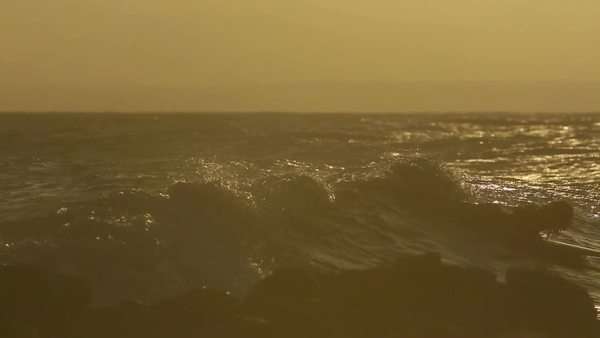 Surfer swiming in the sea under the setting sun - Stock Video Footage ...
