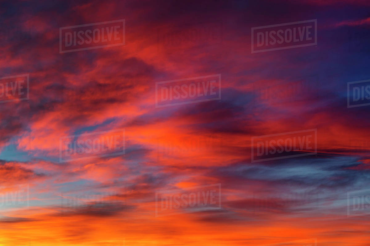 Dramatically colourful clouds at sunrise with blue sky; Calgary ...