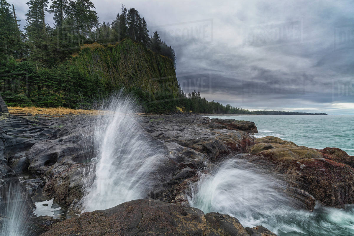 Water explodes through the blow hole near Tow Hill on the North shore ...