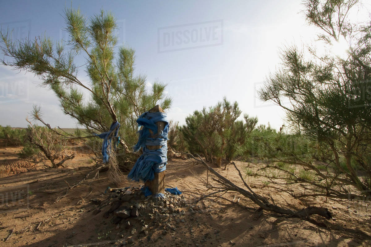 Wooden oovo with prayer flags in Saxaul forest, Bayanzag, South Gobi ...