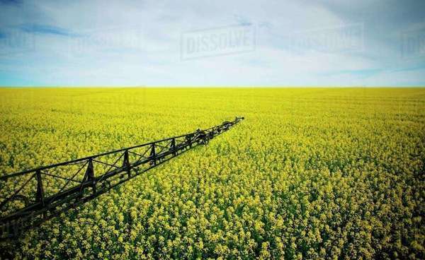 A Farmer's Field - Royalty-free Stock Photo | Dissolve