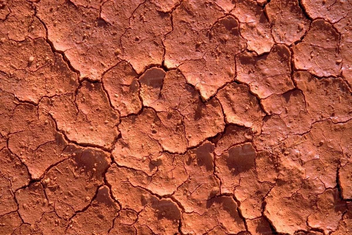 Dry Earth - Royalty-free Stock Photo | Dissolve