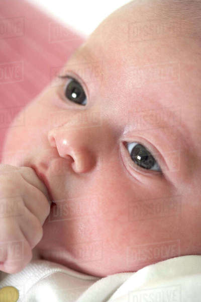 Baby's Face - Stock Photo - Dissolve