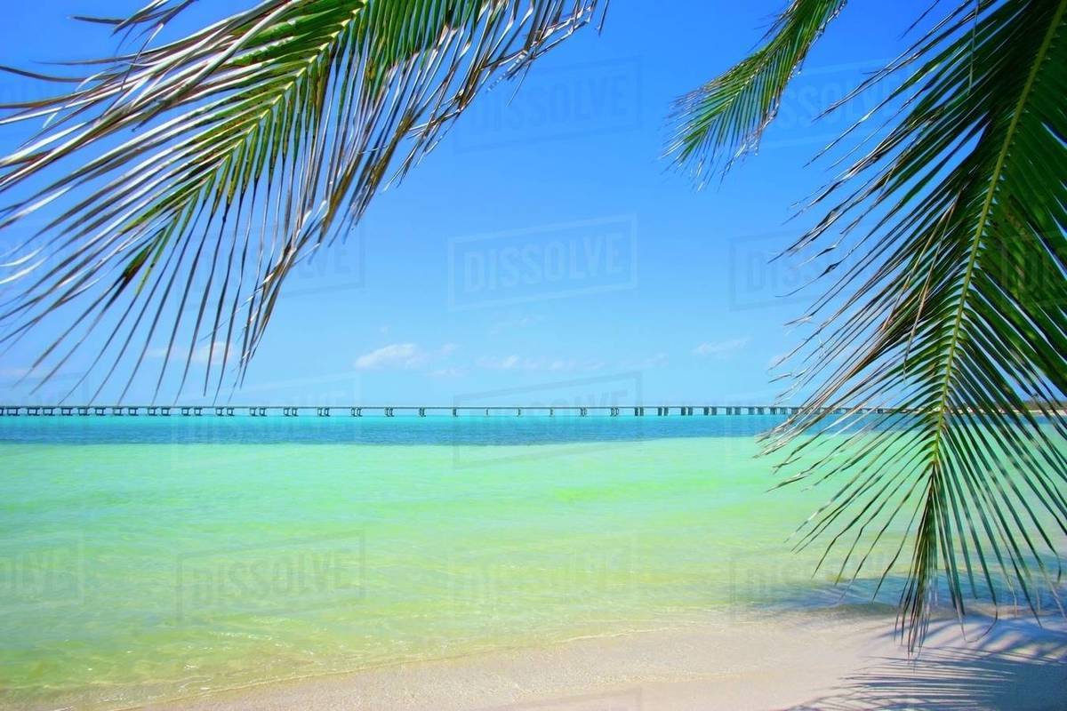 Tropical Beach, Florida Keys, Usa - Royalty-free Stock Photo | Dissolve