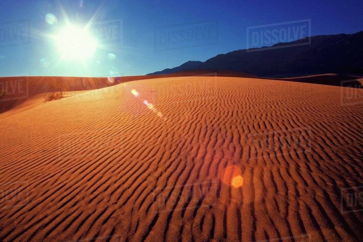 Ripples In Desert Sand - Stock Photo - Dissolve