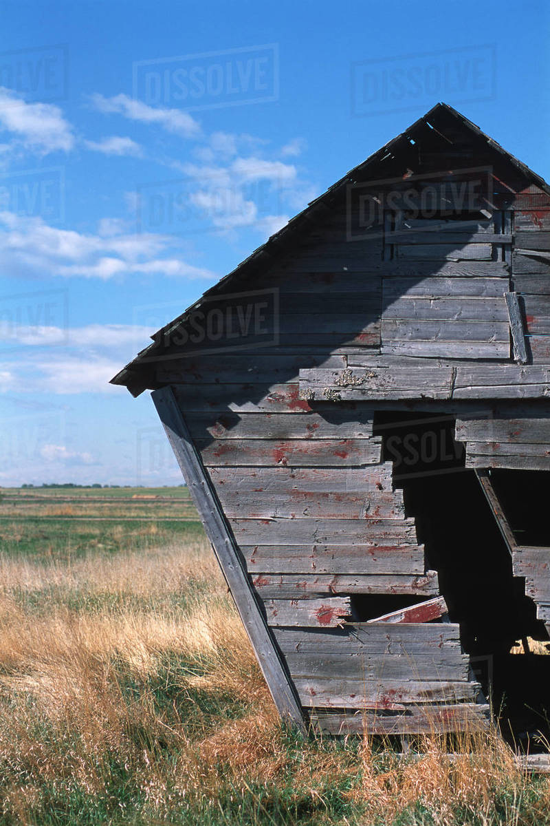 Old Shack In Field - Stock Photo - Dissolve