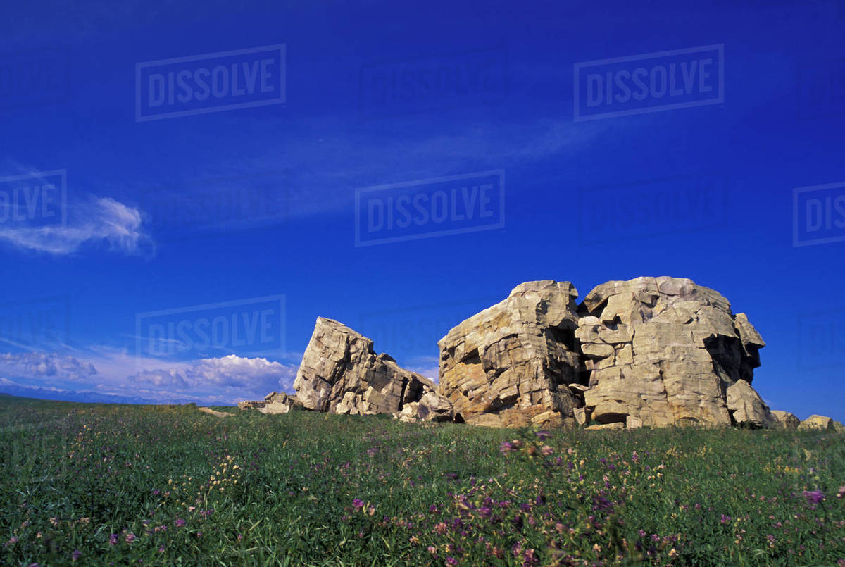Large Rock Formation In Grassy Field - Royalty-free Stock Photo | Dissolve