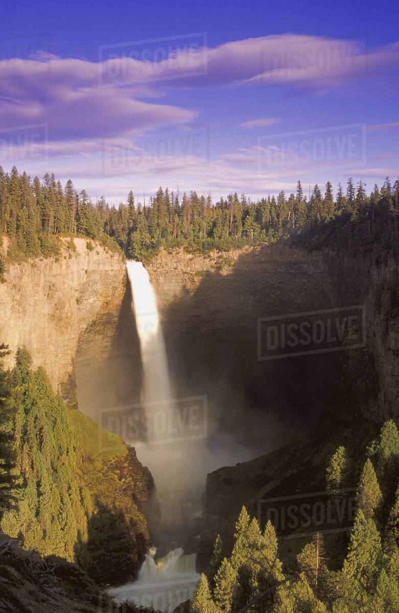 Narrow Waterfall In Forest Gully - Royalty-free Stock Photo | Dissolve