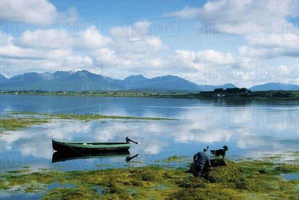 Roundstone, Connemara, County Galway, Ireland; Fishermen On The Shore ...