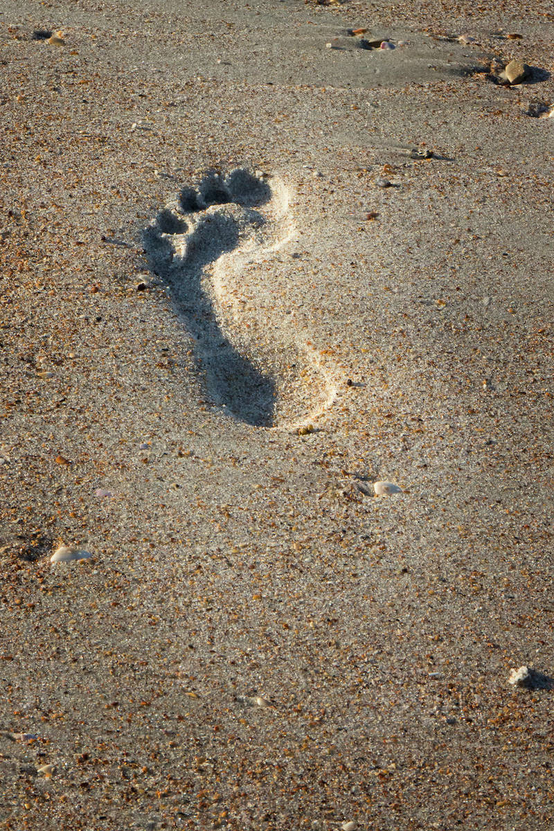 One footprint in the sand; United States of America - Royalty-free ...