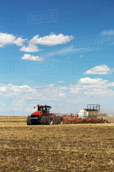 Spring Seeding Of Wheat By A Tractor And Air Till Drill In A Field Of ...