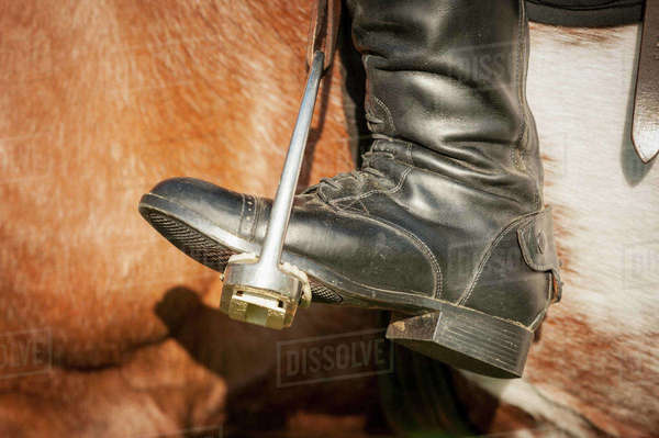 Close Up Of A Riding Boot In Stirrups In Baltimore County; Maryland ...