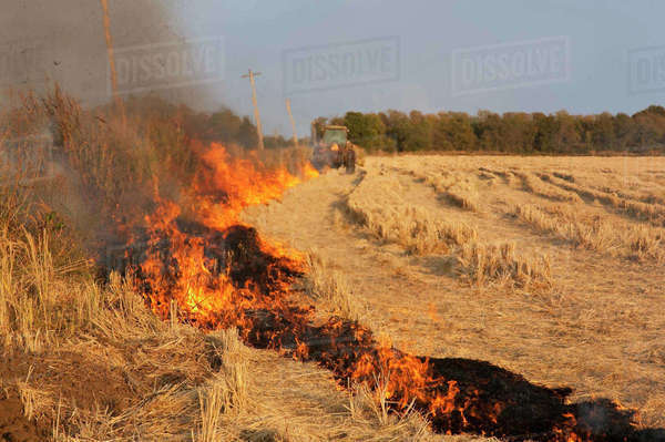 Agriculture - A tractor pulls a fire ignition device through a field of ...