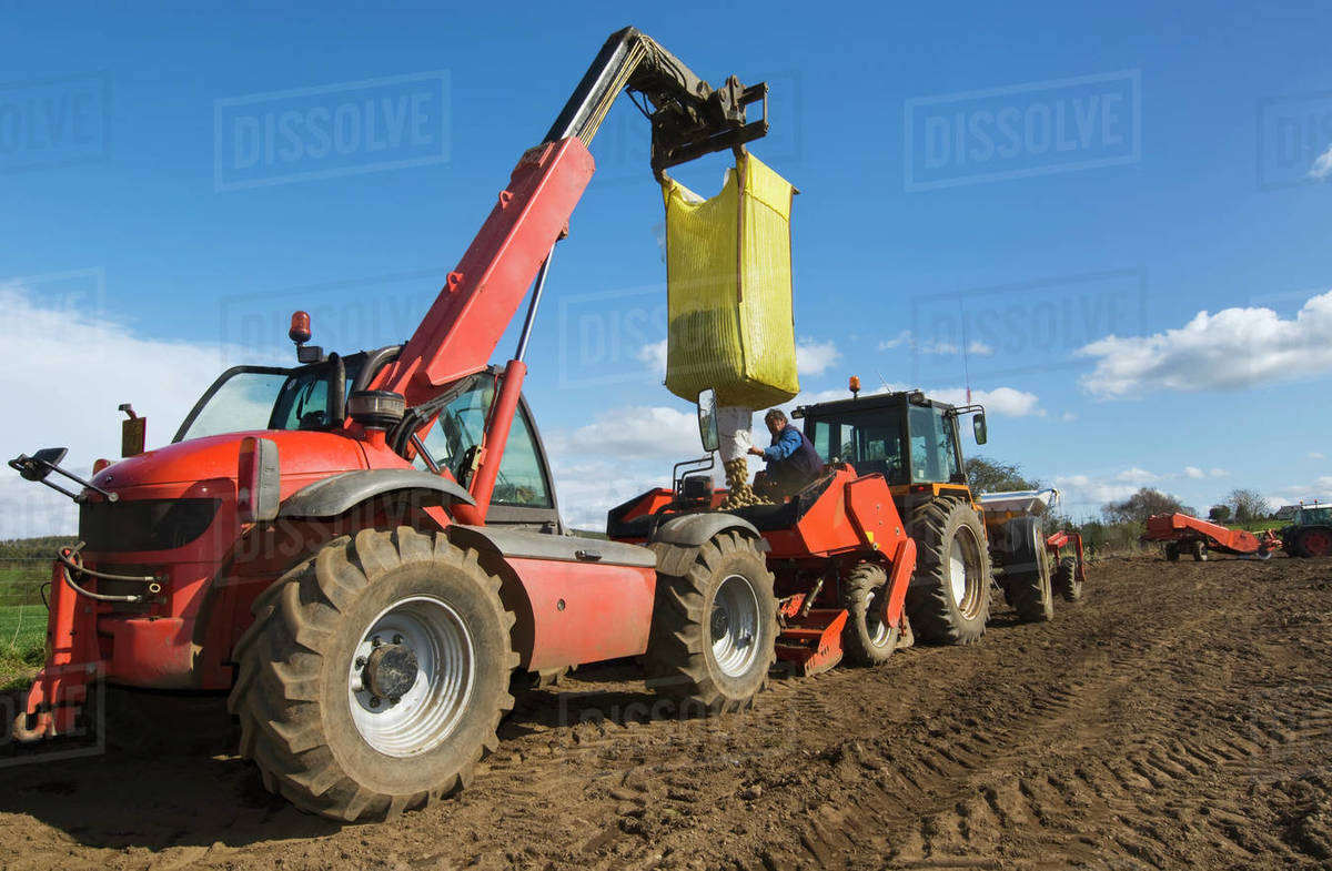 Agriculture - Farmer loading seed potato into seed potato planter using ...
